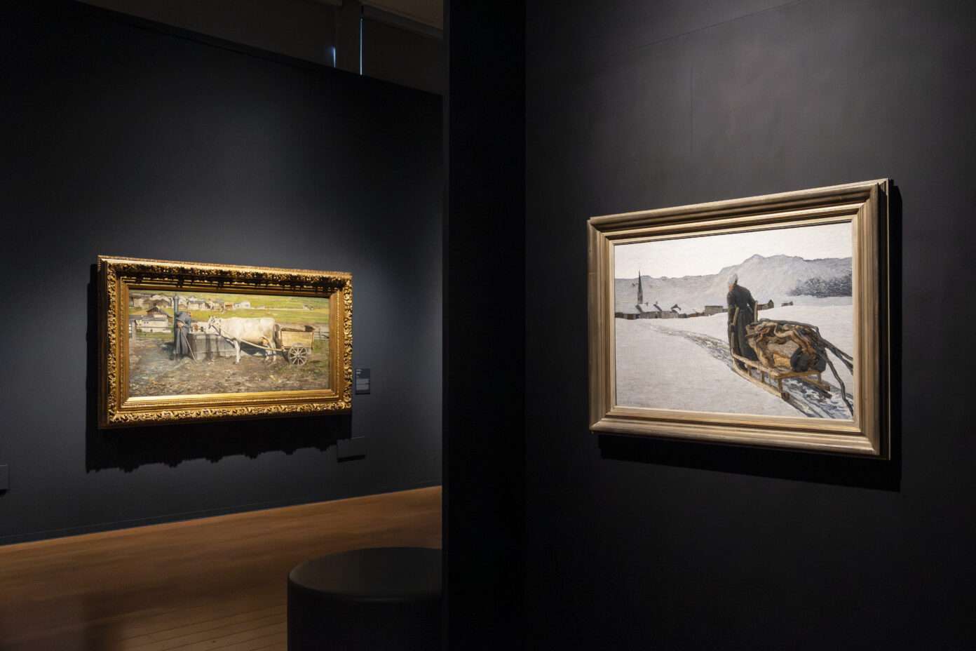 8 mostre imperdibili in Veneto a novembre* Sgaialand